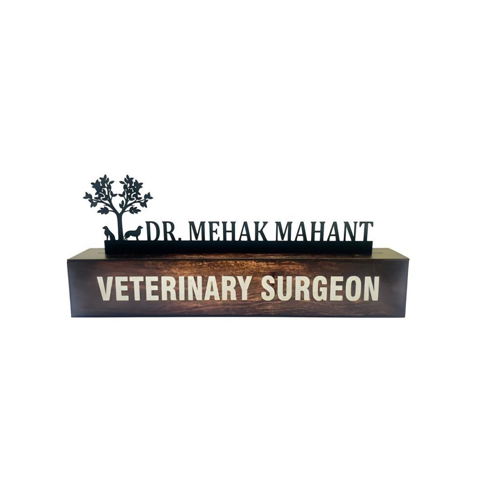New Doctor Table Customized Name Plate | Professional Plate