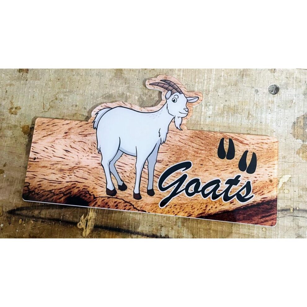 Acrylic Door Multicolor Name Plate | Personalized Radiance